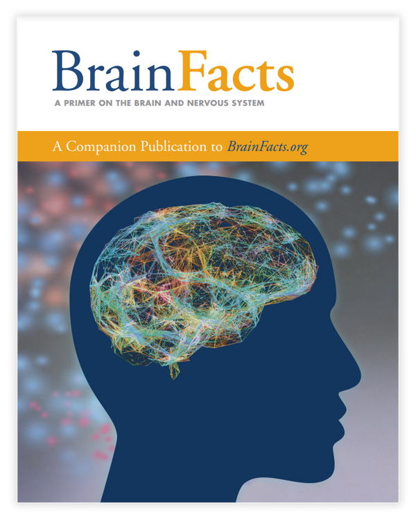Brainfact Books – SfN Store