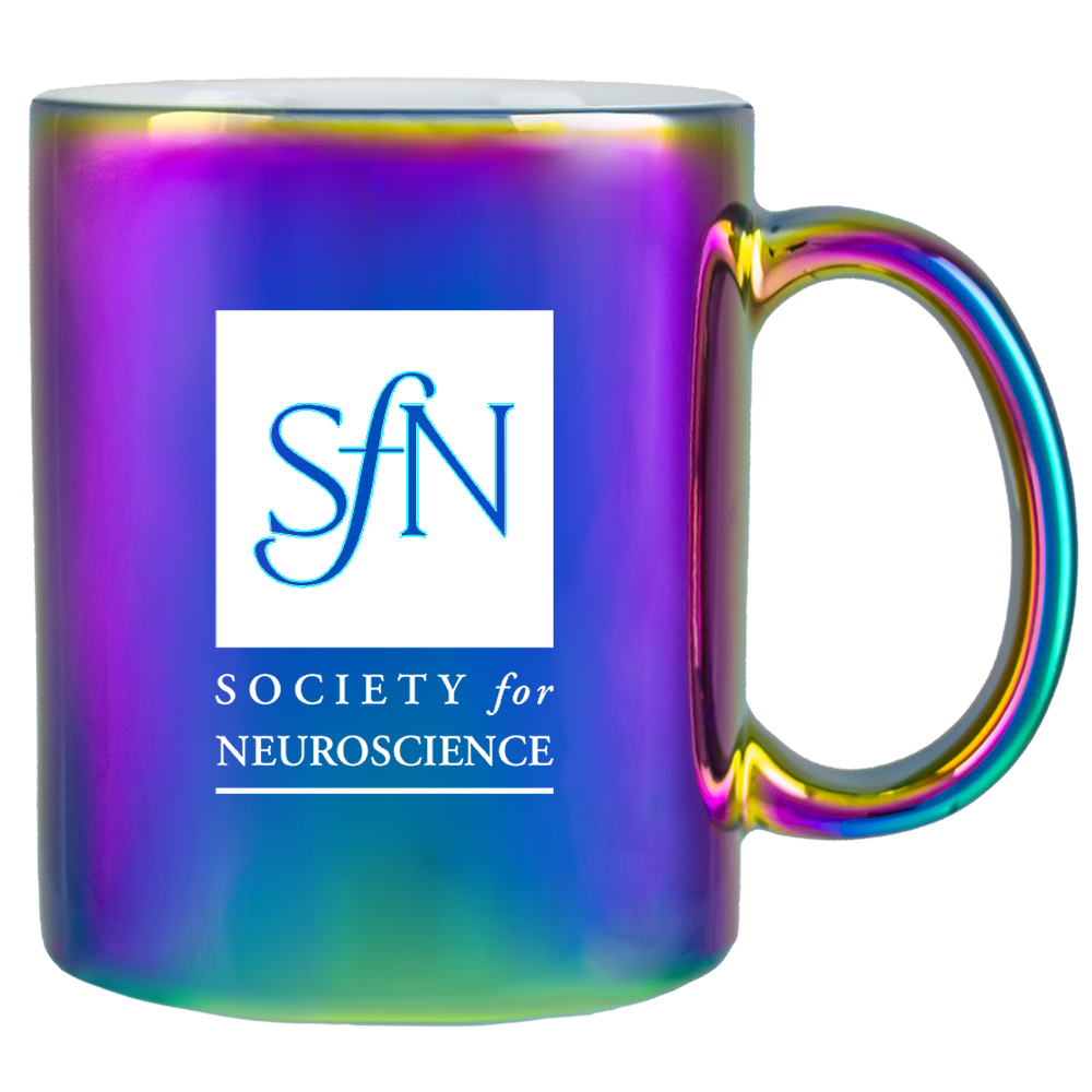 Iridescent Mug – SfN Store